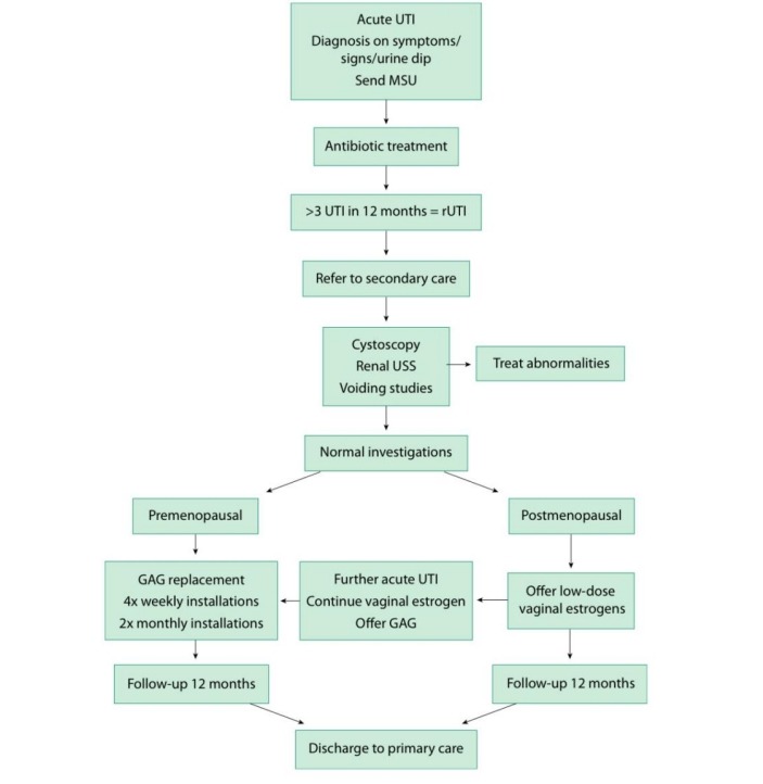 Recurrent Urinary Tract Infection – journey to be a specialist