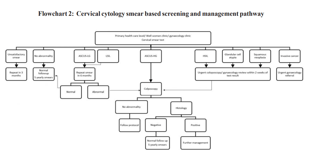 Cervical screening care pathway – journey to be a specialist
