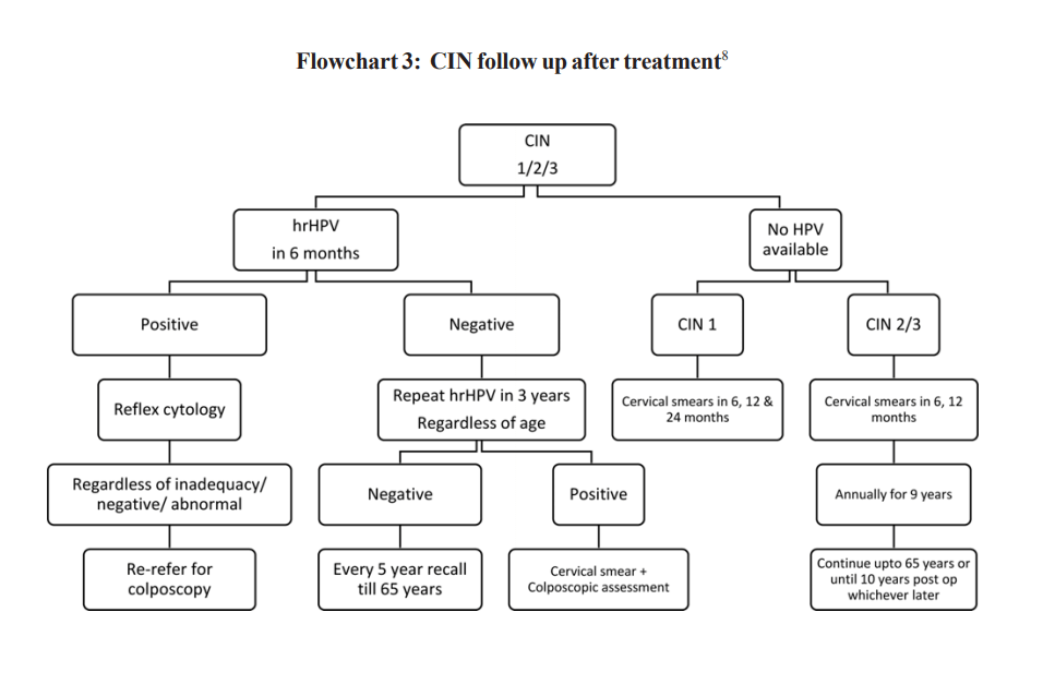 Cervical screening care pathway – journey to be a specialist