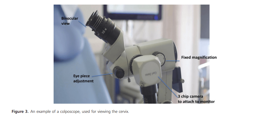 Cervical screening care pathway – journey to be a specialist