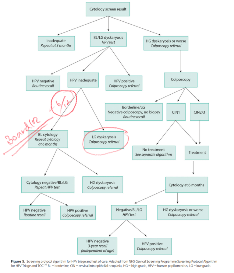 Cervical screening care pathway – journey to be a specialist