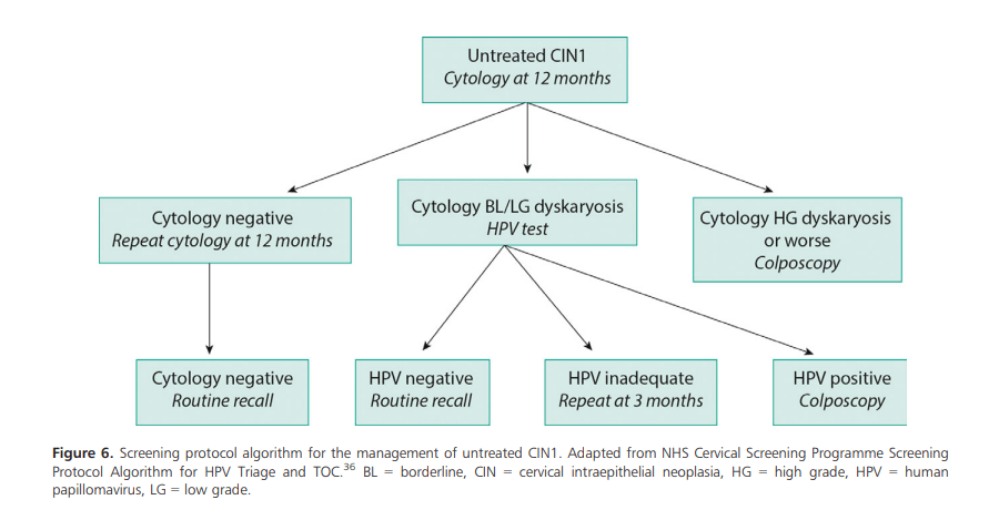 Cervical screening care pathway – journey to be a specialist